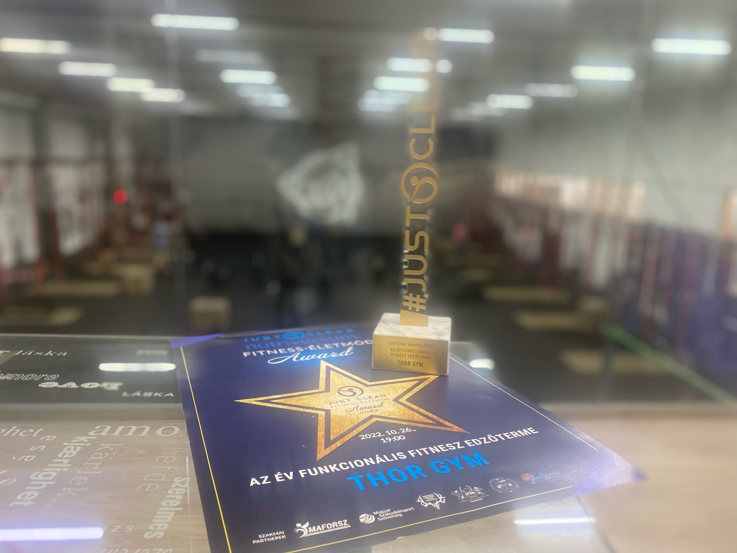 Ismét az ÉV FUNKCIONÁLIS EDZŐTERME a Thor Gym - Thorgym